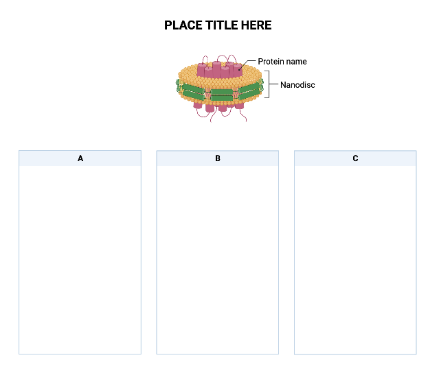 Nanodisc Components (Layout 3x1) | BioRender Science Templates