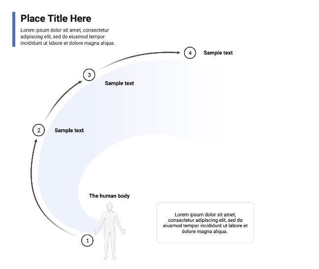 Human Body with Curved Callout (Layout) | BioRender Science Templates