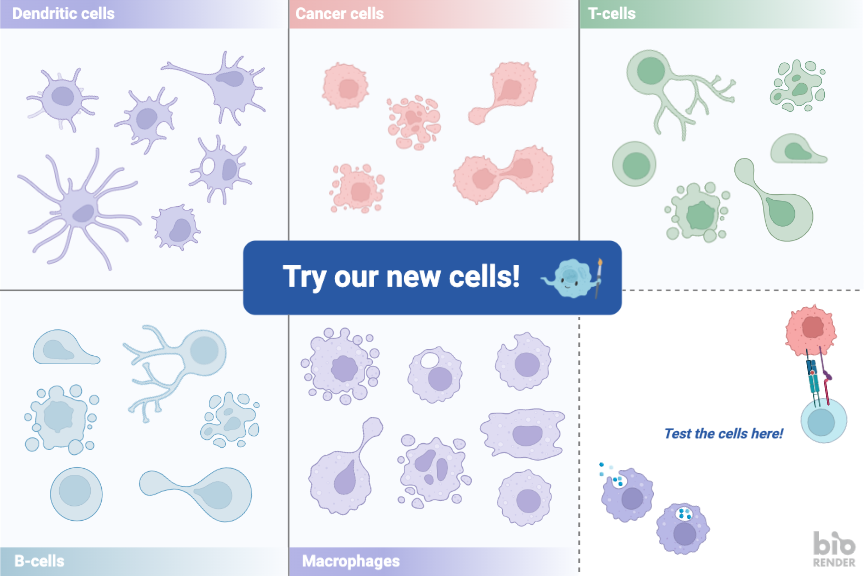 Try Our New Cells! | BioRender Science Templates