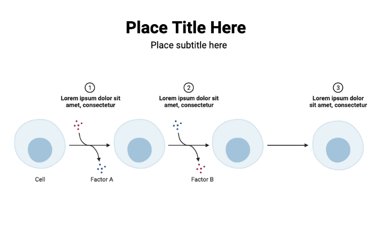 3-step Pathway with Cells (Layout) | BioRender Science Templates