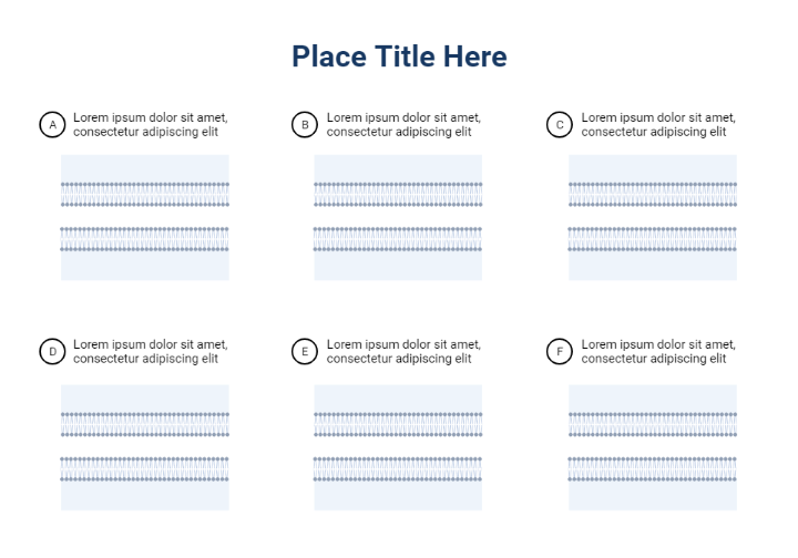 Double Membrane Panel (Layout 3x2) | BioRender Science Templates