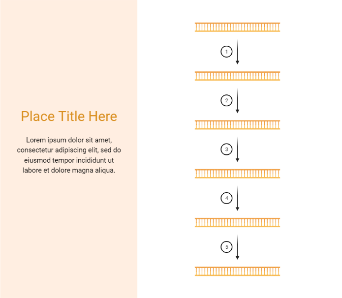 DNA Processing Pathway (Layout) | BioRender Science Templates