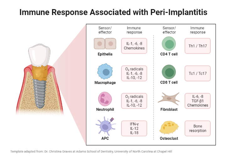 Immune Response Associated with Peri-Implantitis | BioRender Science ...