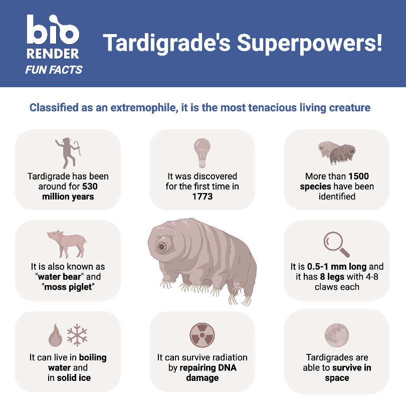Tardigrade's Superpowers! | BioRender Science Templates