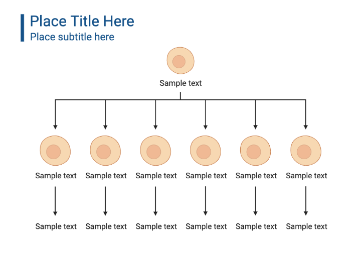 Cell Subtypes (Layout) | BioRender Science Templates