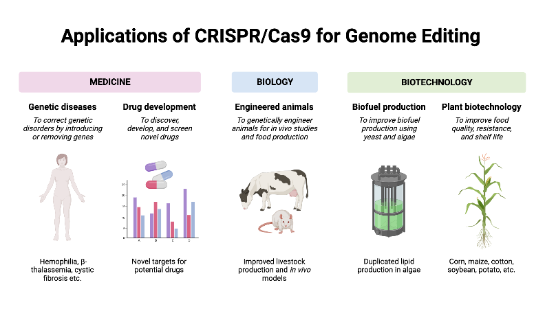 Applications of CRISPR/Cas9 for Genome Editing | BioRender Science ...