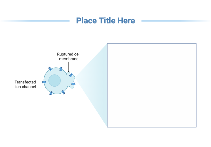Cell Lysis with Callout (Layout) | BioRender Science Templates