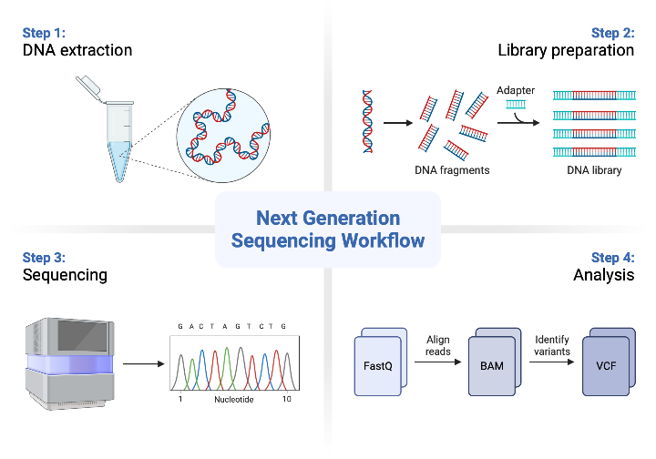 Next Generation Sequencing Workflow BioRender Science Templates Next Generation Sequencing Workflow BioRender Science Templates