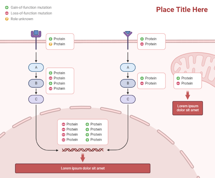 Pathway and Genetic Markers (Layout) | BioRender Science Templates