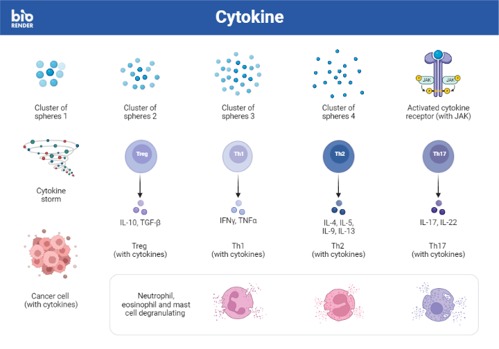 Icon Pack - Cytokine | BioRender Science Templates