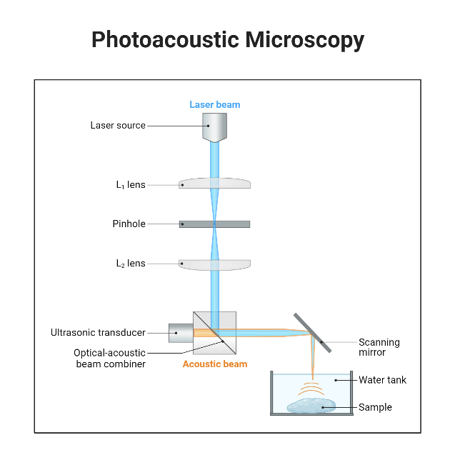 Photoacoustic Microscopy | BioRender Science Templates