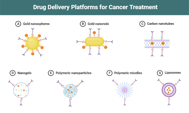 Drug Delivery Platforms for Cancer Treatment | BioRender Science Templates