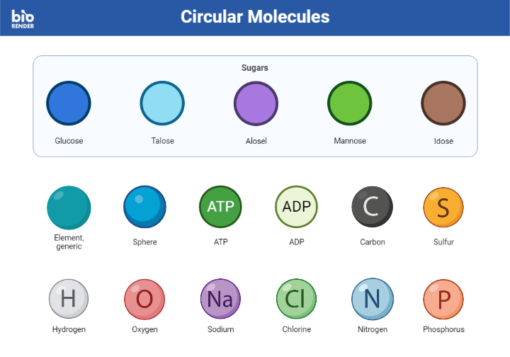 Icon Pack - Circular Molecules | BioRender Science Templates