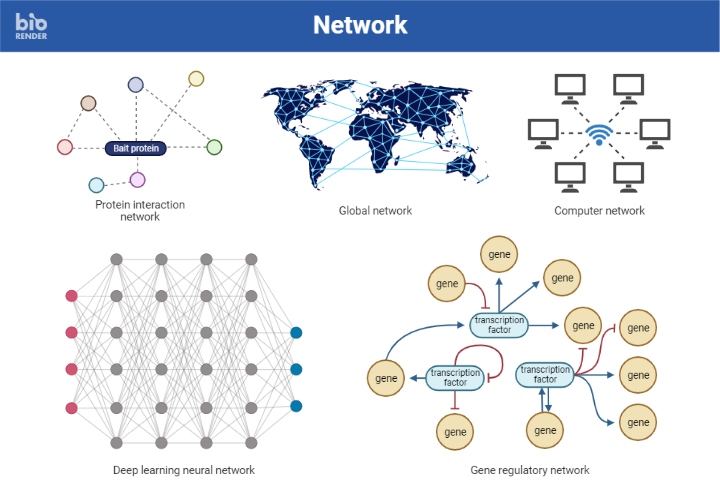 Icon Pack - Network | BioRender Science Templates