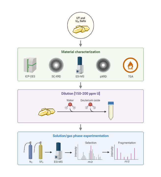 Materials Ionization Mechanisms Using ESI-MS | BioRender Science Templates