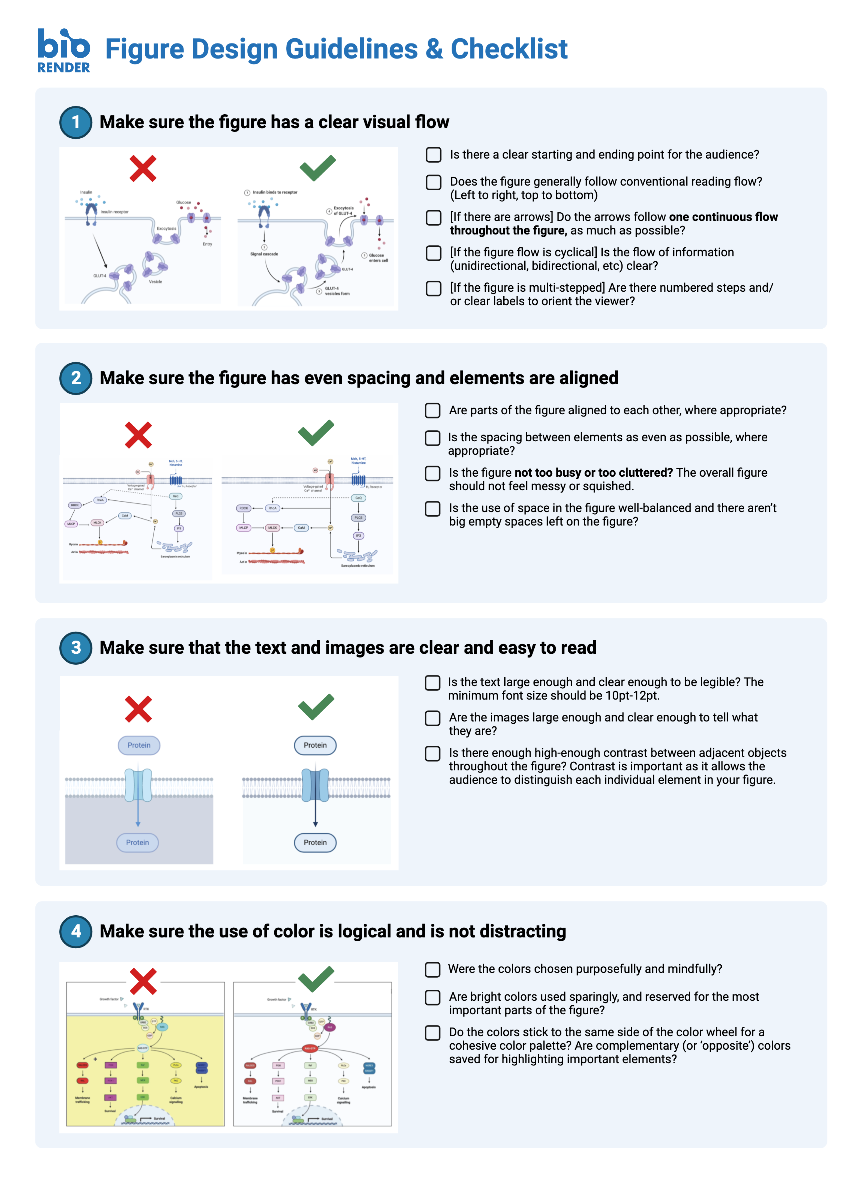 Figure Guidelines & Checklist | BioRender Science Templates