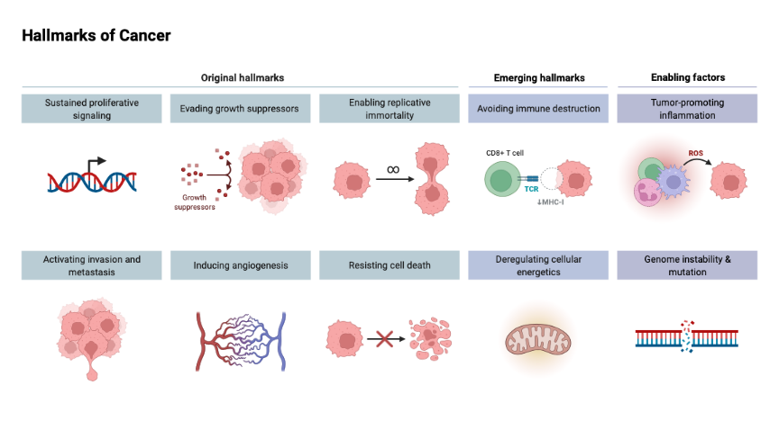 Hallmarks of Cancer | BioRender Science Templates