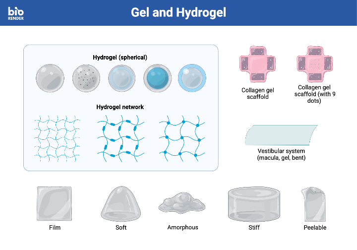 Icon Pack - Gel and Hydrogel | BioRender Science Templates