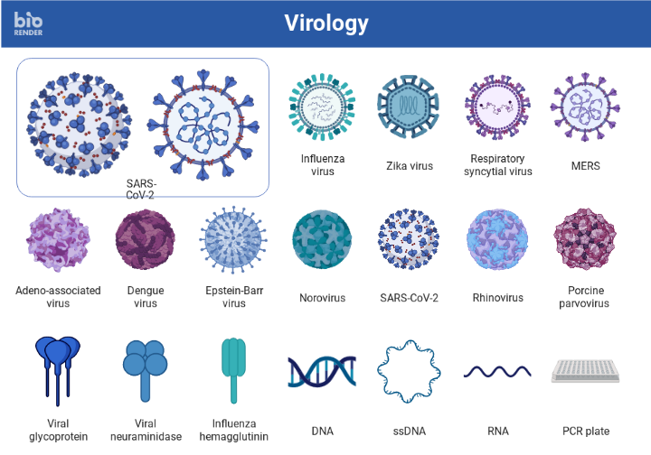 Icon Pack - Virology | BioRender Science Templates