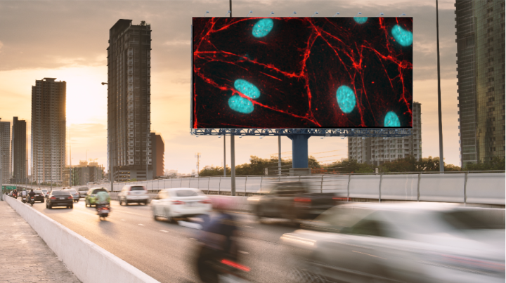 Virtual Background - Frame 7 | BioRender Science Templates