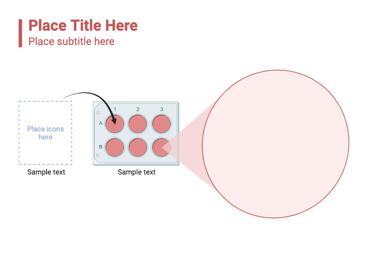 Cell Culture Plate with Callout (Layout) | BioRender Science Templates