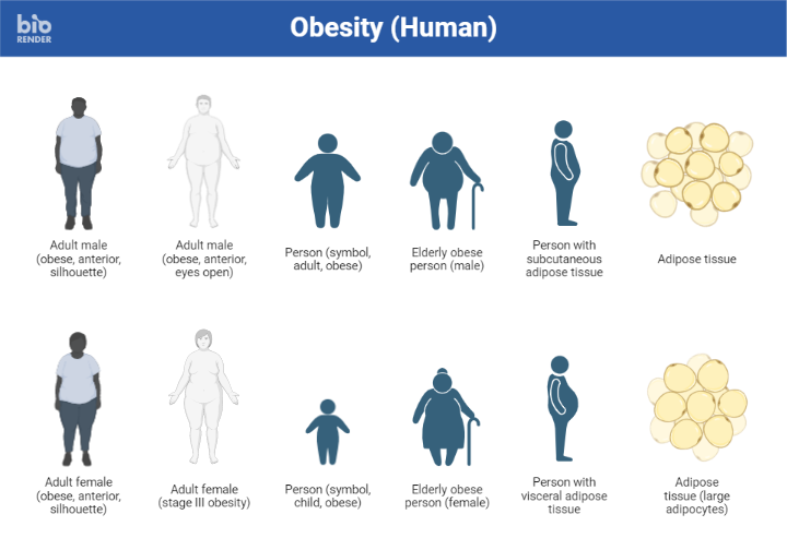 Icon Pack - Obesity (Human) | BioRender Science Templates