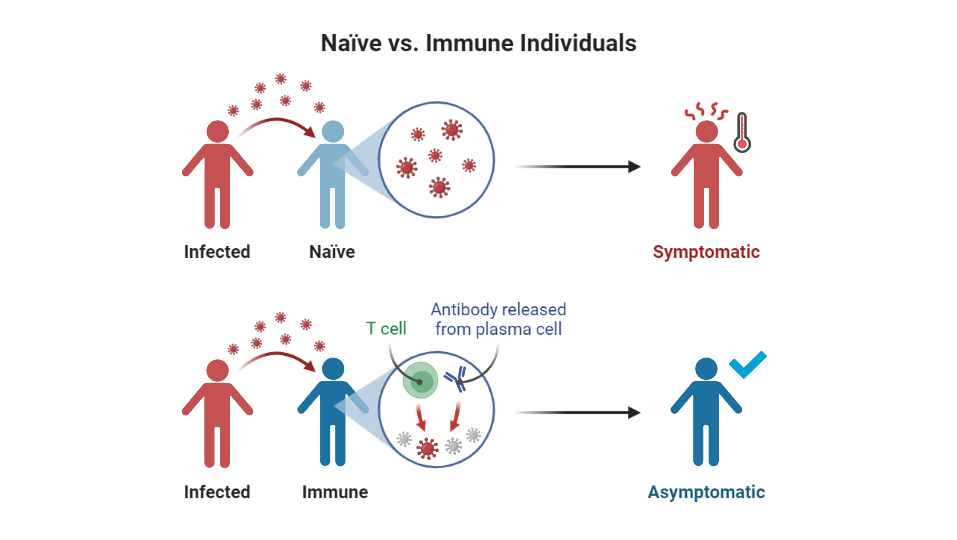 Naïve Vs. Immune Individuals | BioRender Science Templates
