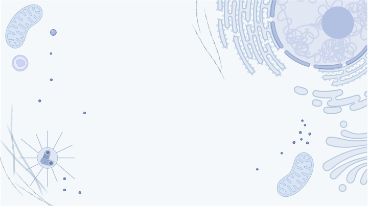 Virtual Background - Inside a Cell | BioRender Science Templates