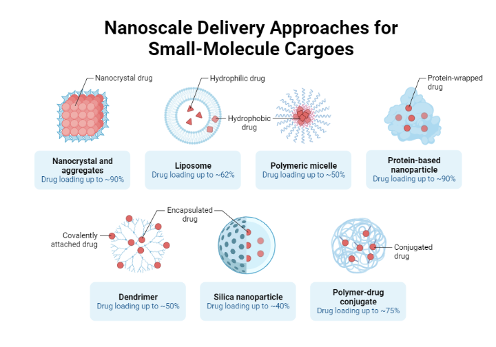 Nanoscale Delivery Approaches for Small-Molecule Cargoes | BioRender ...