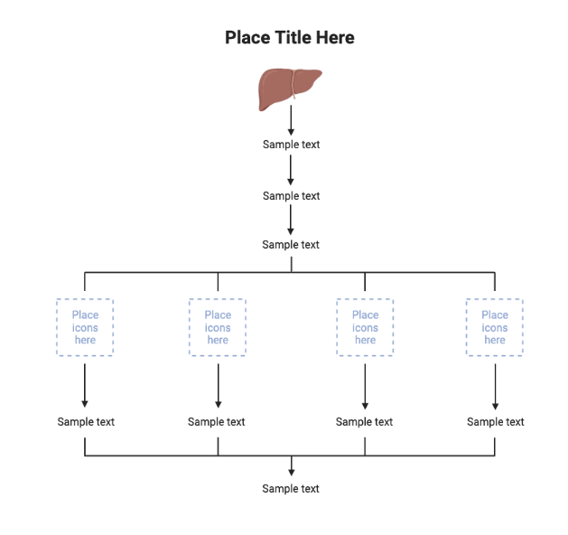 Hierarchical Chart with Liver (Layout) | BioRender Science Templates