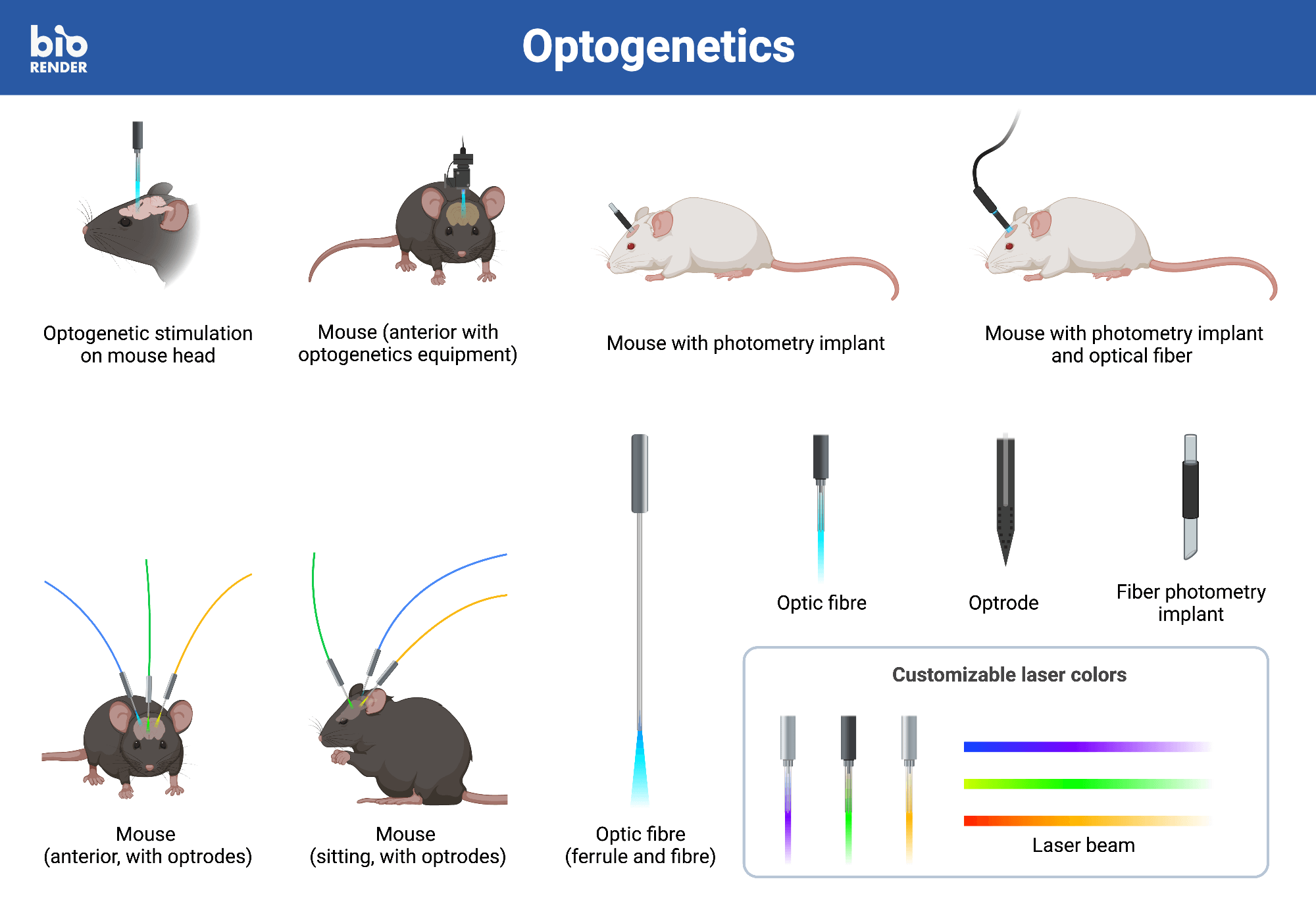 Icon Pack - Optogenetics | BioRender Science Templates
