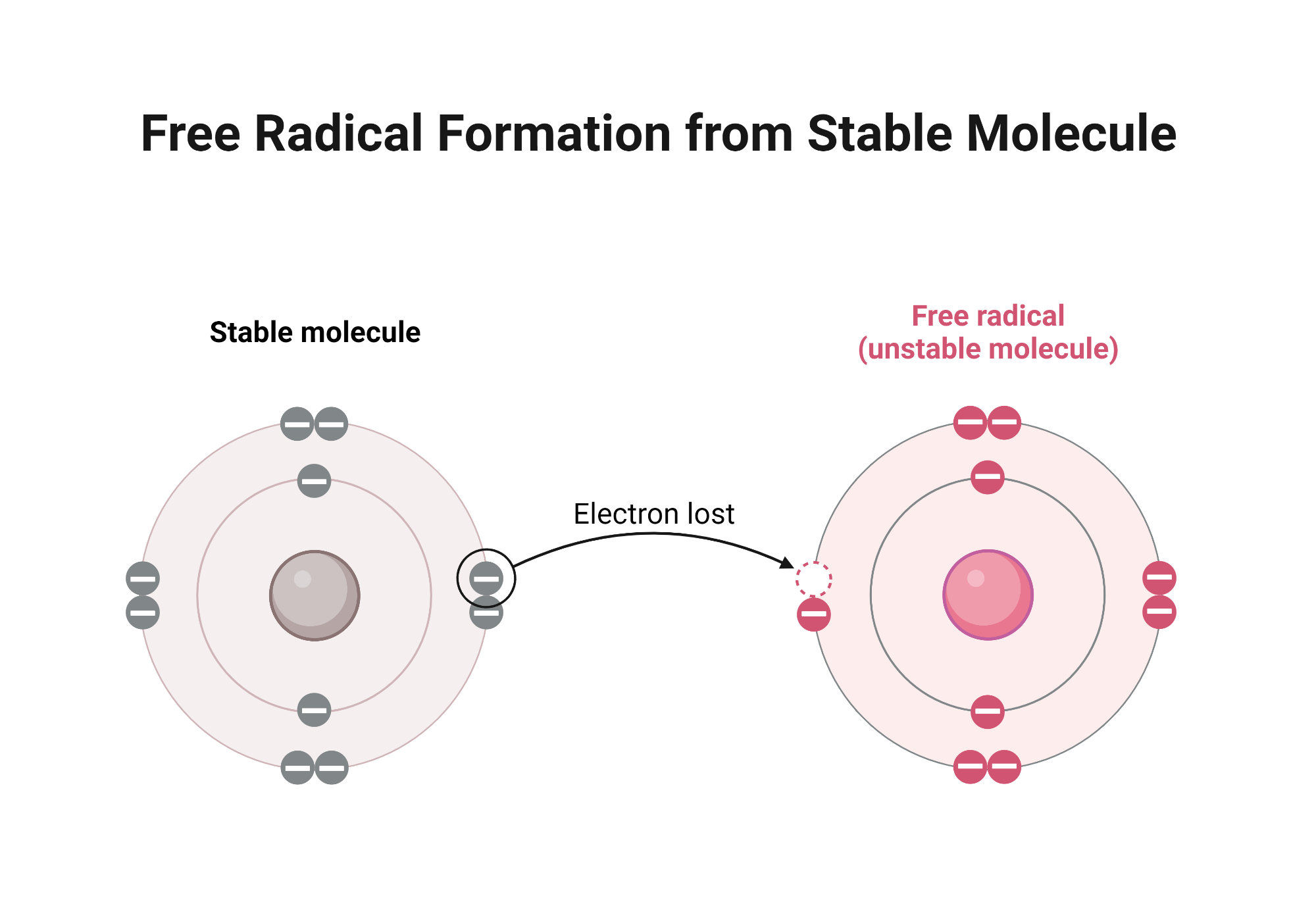 Free Radical Formation from Stable Molecule | BioRender Science Templates