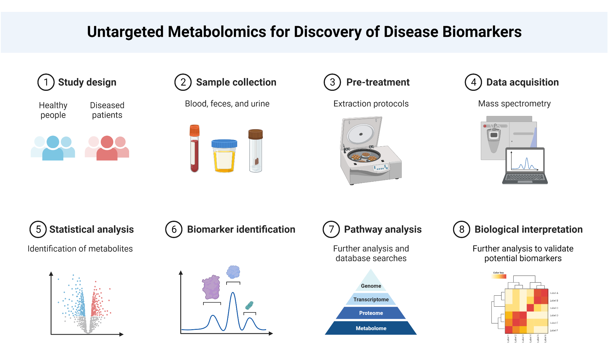 Untargeted Metabolomics For Discovery Of Disease Biomarkers BioRender Untargeted Metabolomics For Discovery Of Disease Biomarkers BioRender