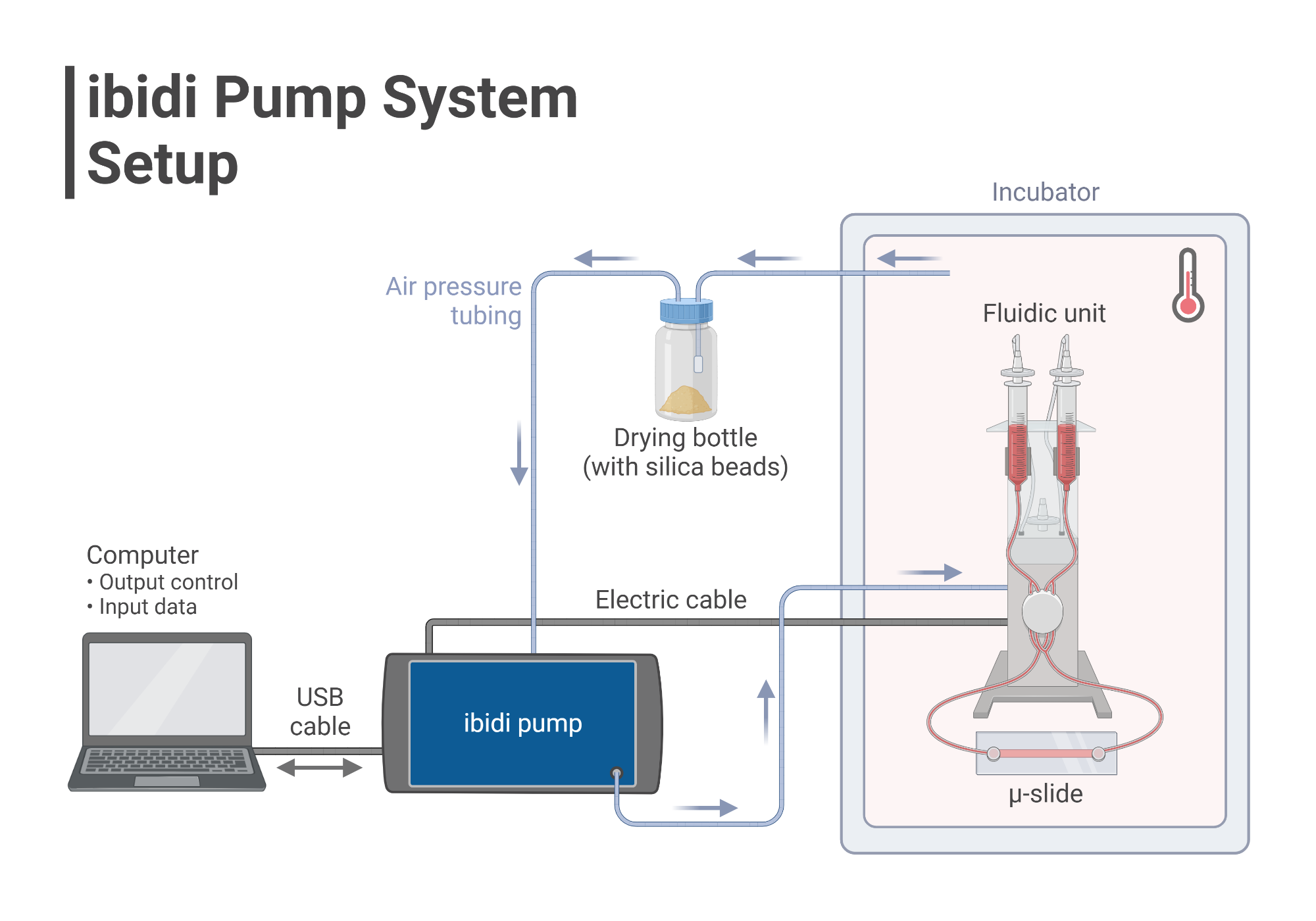 ibidi Pump System Setup | BioRender Science Templates