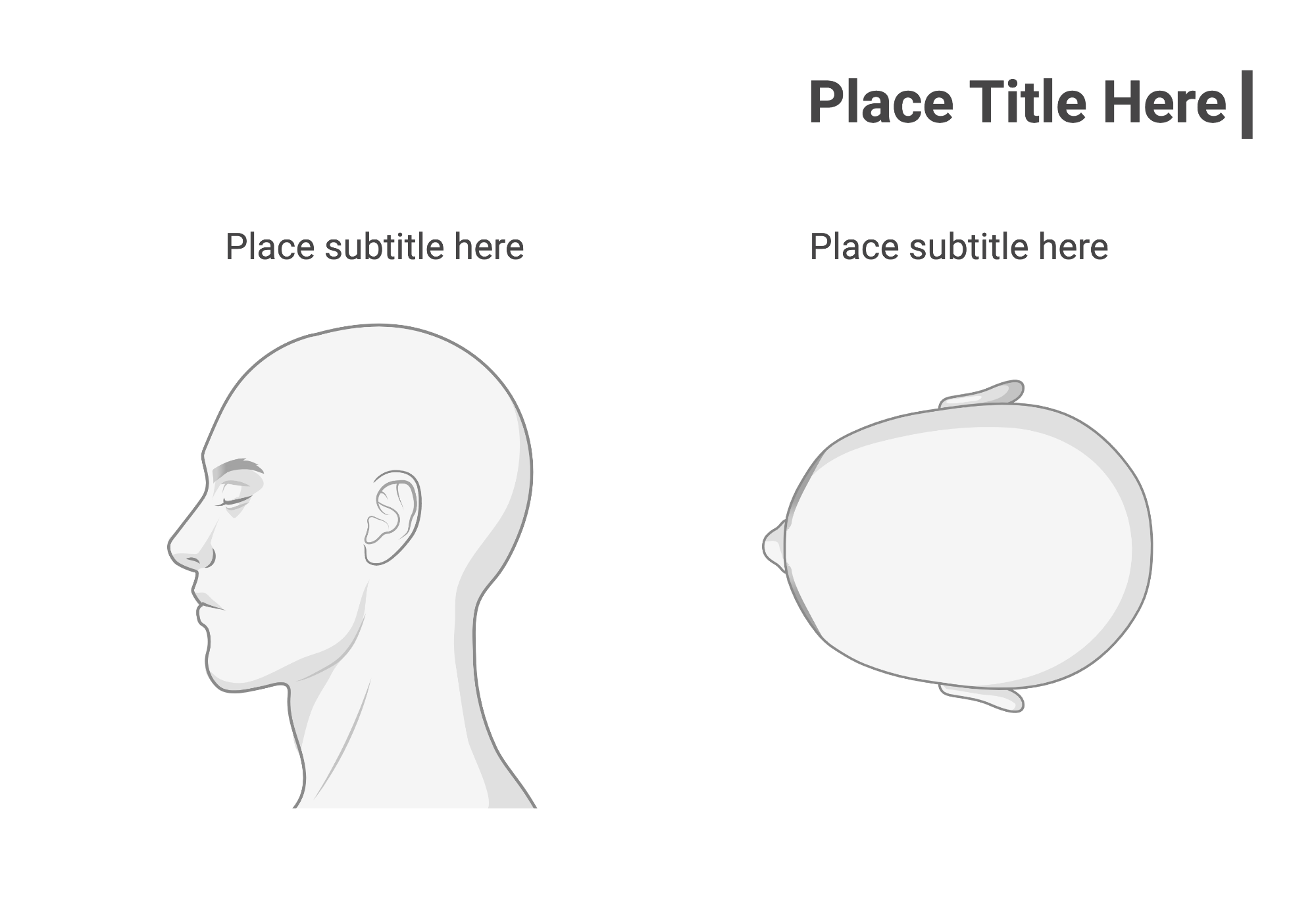Head Lateral and Superior View (Layout) | BioRender Science Templates