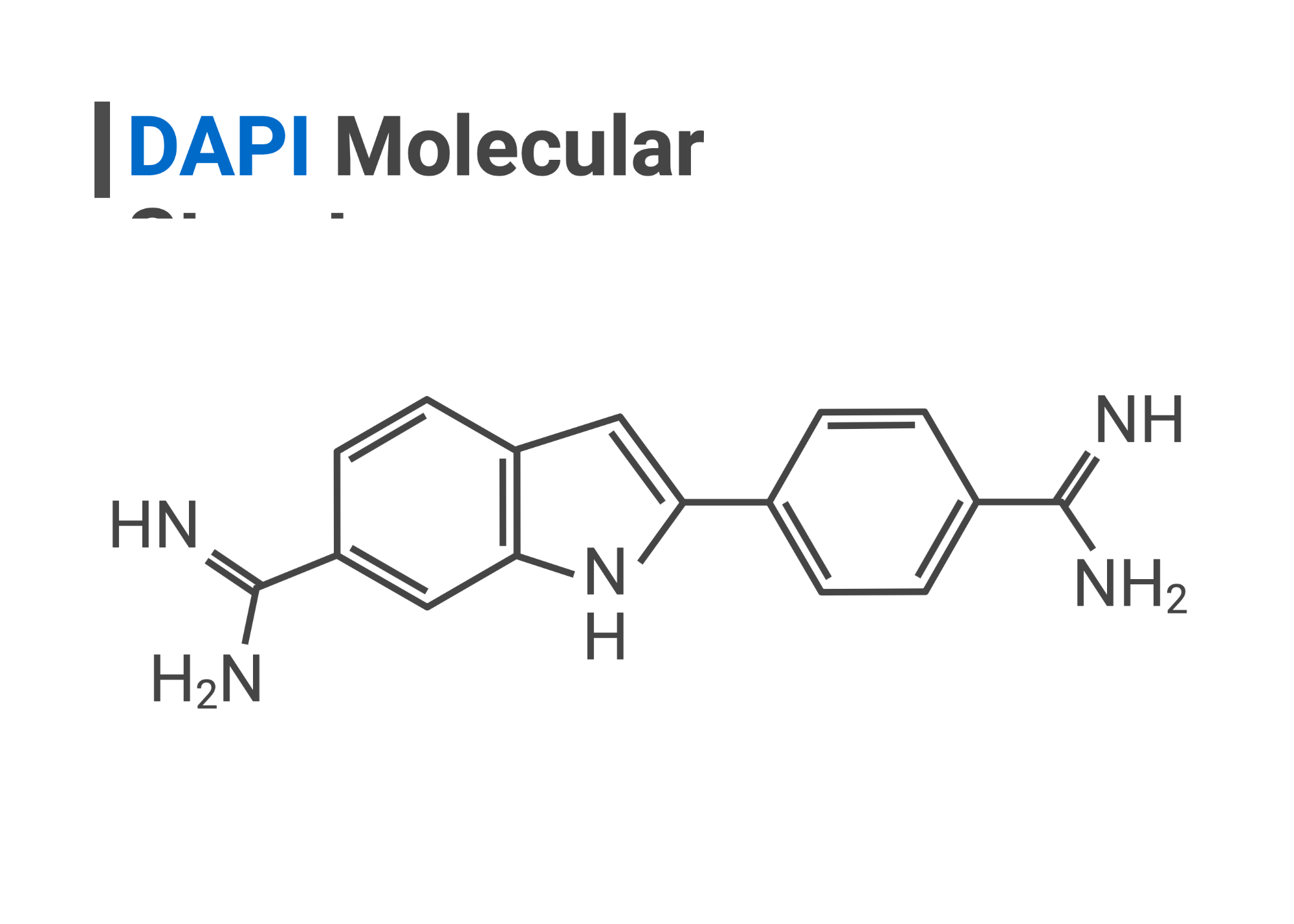 DAPI Molecular Structure | BioRender Science Templates