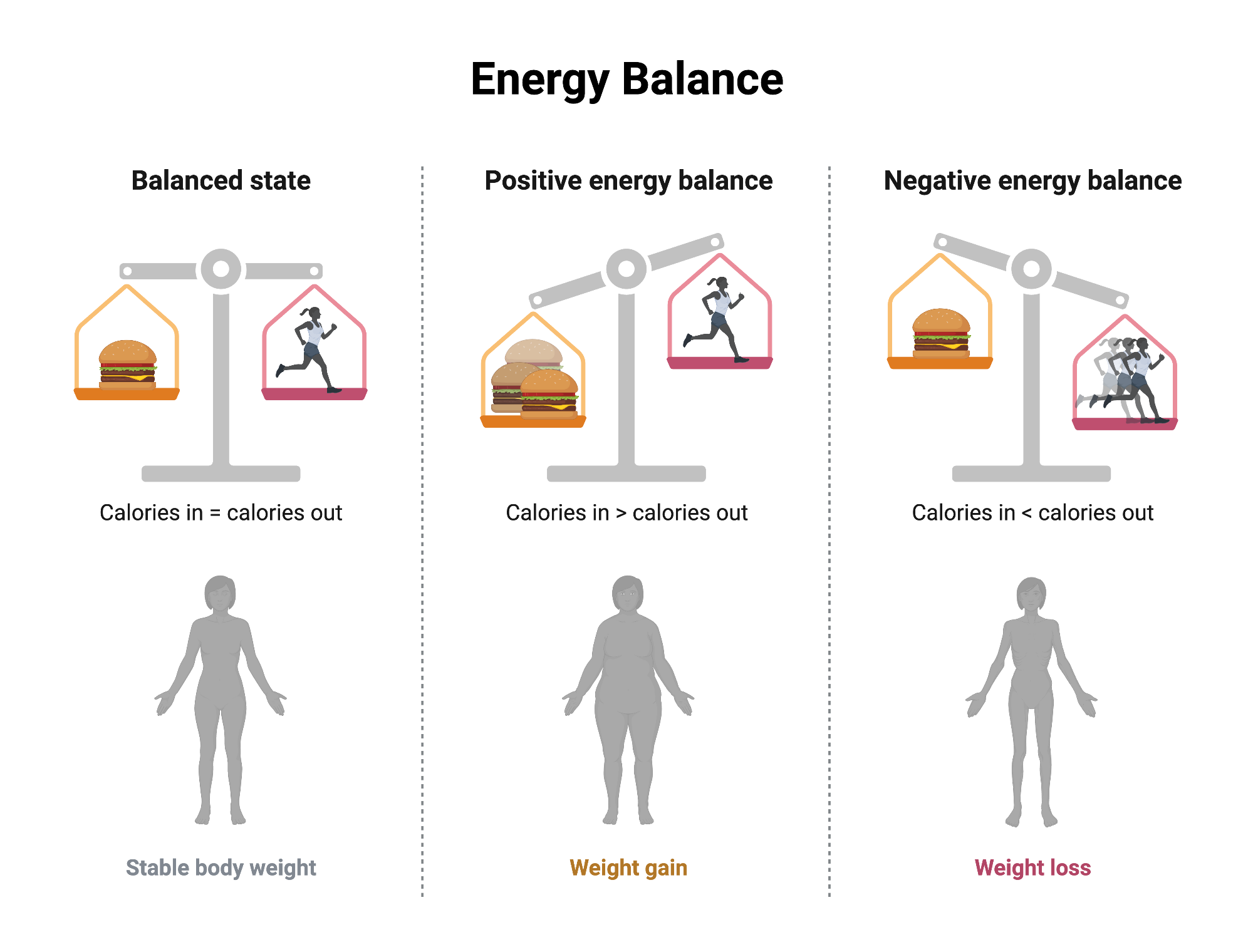 Energy Balance BioRender Science Templates