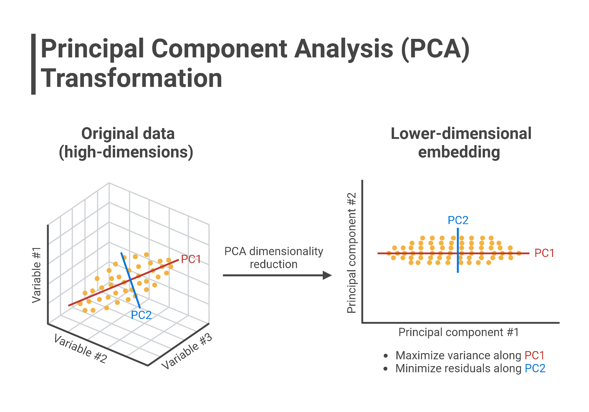Principal Component Analysis PCA Transformation BioRender Science