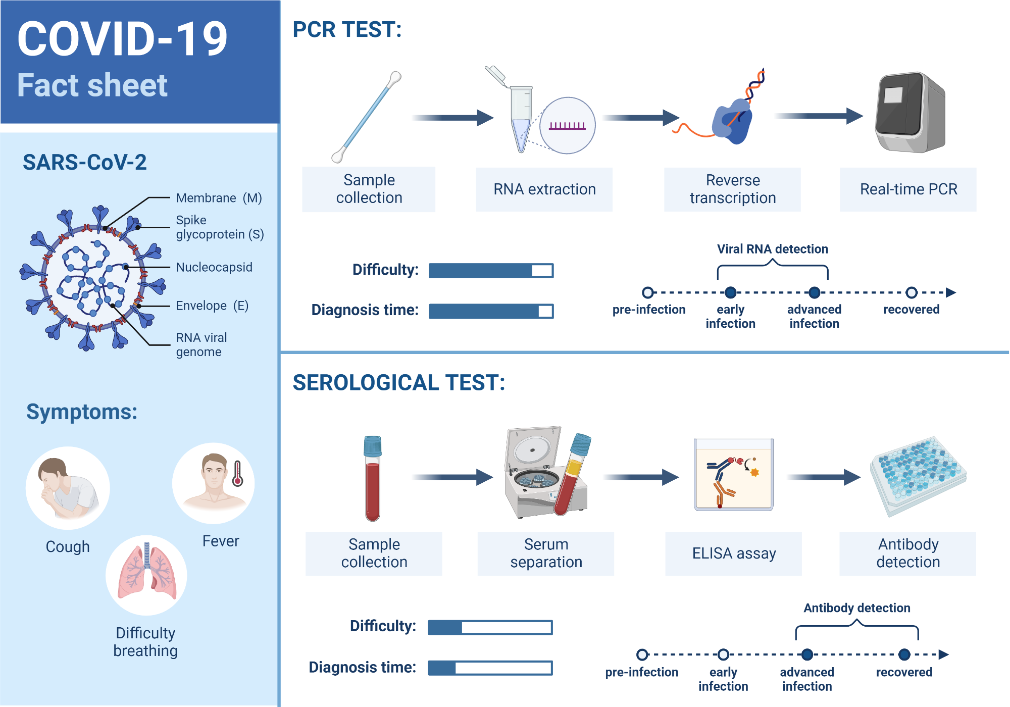 COVID-19 Fact Sheet | BioRender Science Templates