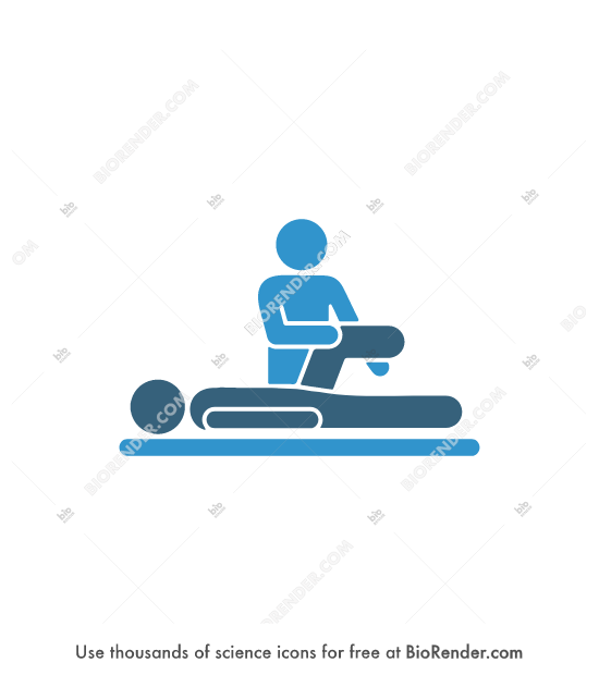 Free Physiotherapy (symbol) Icons, Symbols & Images | BioRender