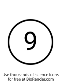 Free Lists and Numbers Icons, Symbols & Images | BioRender