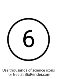 Free Lists and Numbers Icons, Symbols & Images | BioRender