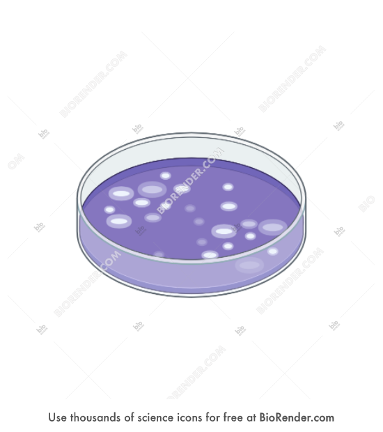 Free Petri dish plaque assay Icons, Symbols & Images | BioRender