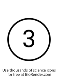 Free Lists and Numbers Icons, Symbols & Images | BioRender