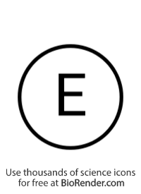 Free Alphabet label (E) Icons, Symbols & Images | BioRender
