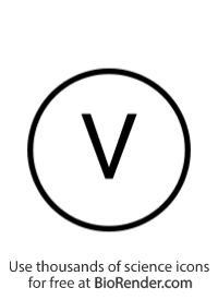 Free Roman number label (05) Icons, Symbols & Images | BioRender