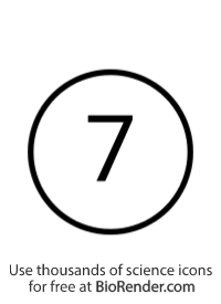 Free Number label (07) Icons, Symbols & Images | BioRender