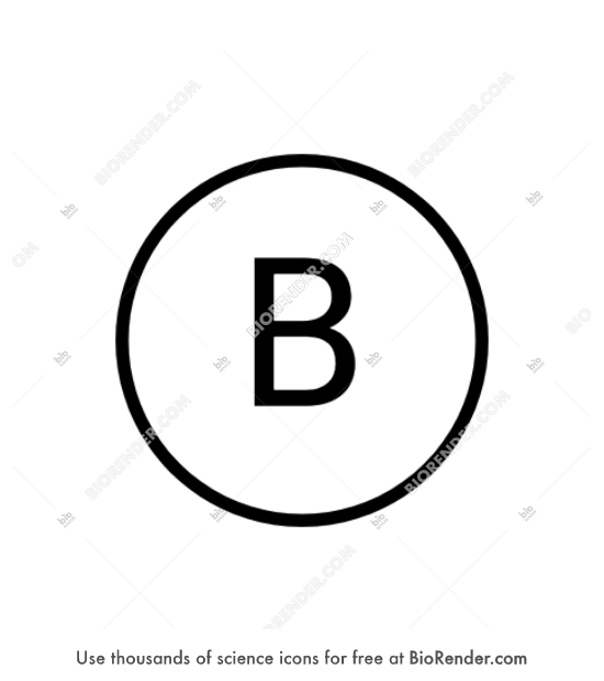 Free Alphabet label (B) Icons, Symbols & Images | BioRender