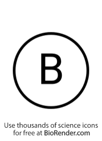Free Alphabet label (B) Icons, Symbols & Images | BioRender