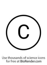 Free Alphabet label (C) Icons, Symbols & Images | BioRender